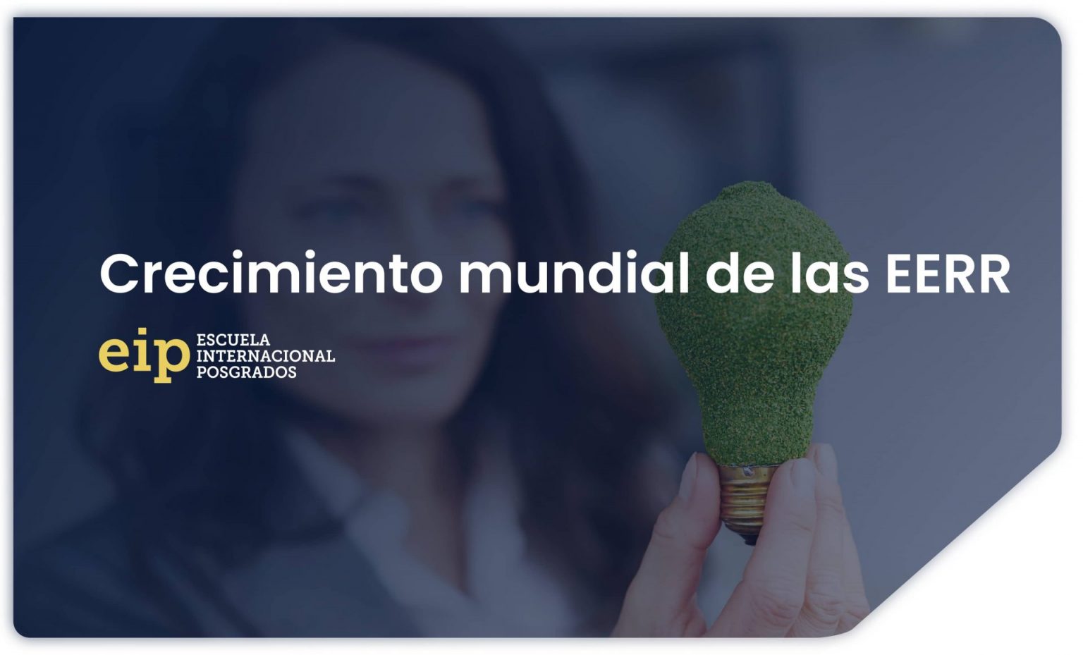 Crecimiento mundial de las EERR