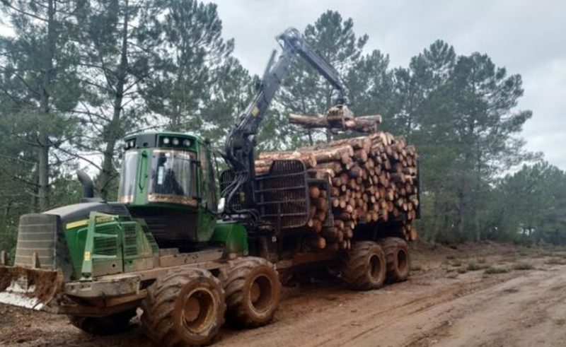 Introduction to biomass, part two