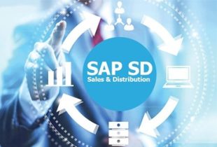 Optimización de Procesos de Ventas y Distribución con SAP SD - Másteres ...